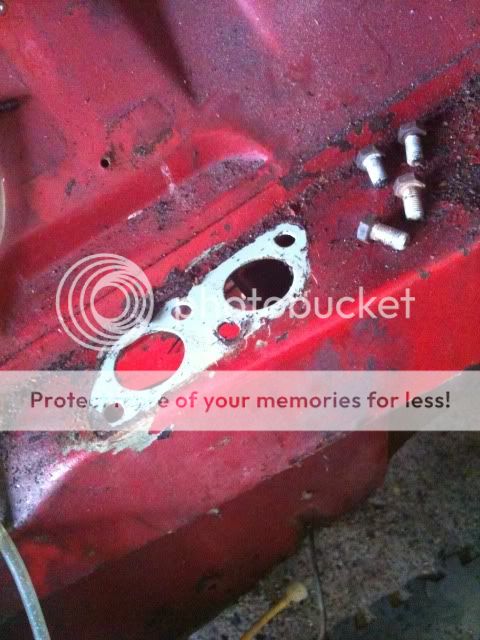 Speedwell Blue Mk1's - Styling - The Mini Forum